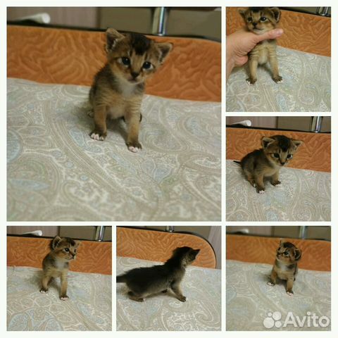 Подарок к новому году