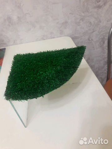 Берег для черепахи