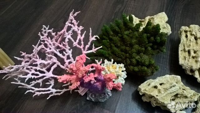 Песчаник Кораллы итд