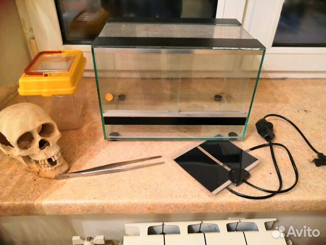 Террариум для членистоногих + фаунариум + аксессуа