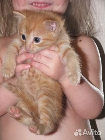 Он - просто солнышко