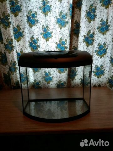 Аквариум панорамный