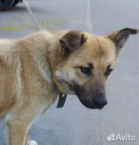 Матрешка, 2 года, 45см