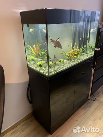 Аквариум Aquael glossy 80 с тумбой