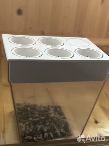 Аквоферма для рыбок