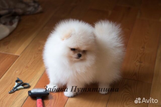 Кремовая принцесса