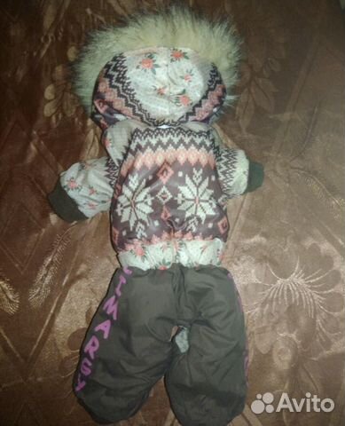 Комбинезон для чихуахуа