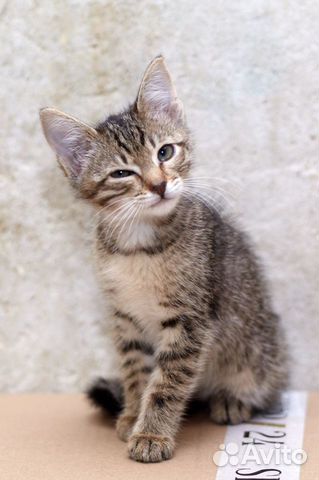 Мальчик 4 месяца