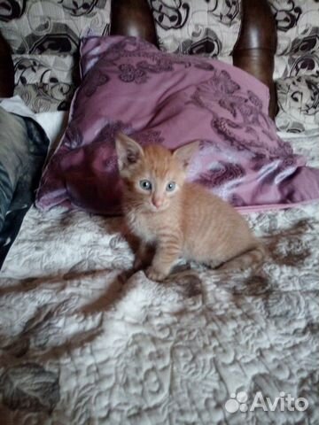 Рыжая малышка