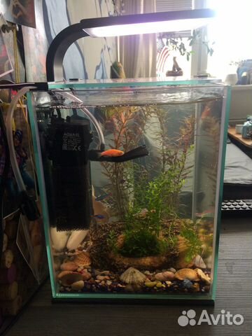 Aquael Shrimp Set 10L (чёрный)