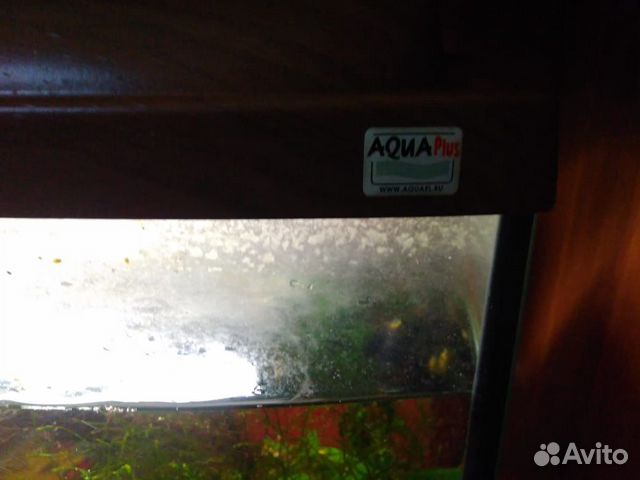Аквариум 60 литров