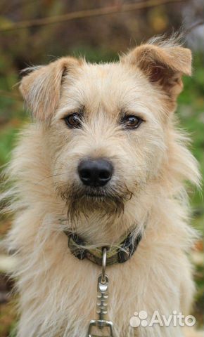 Долгая дорога домой