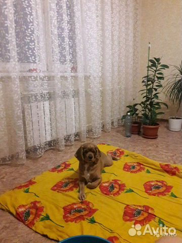 Вязка