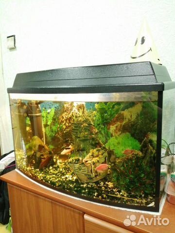 Аквариум