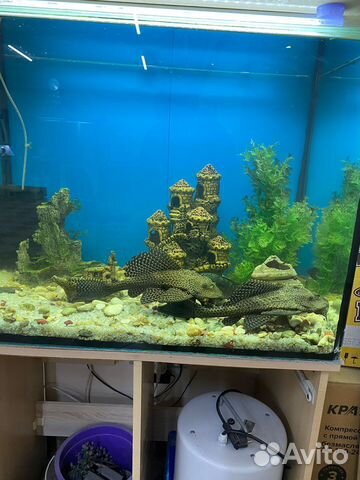 Украшение для аквариума