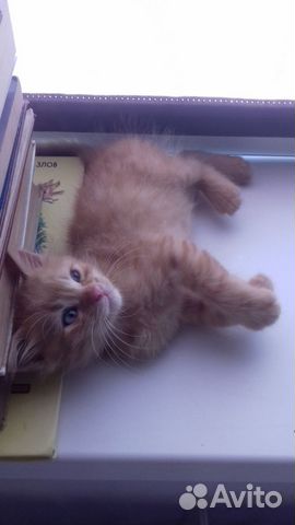 Малыш огонек в дар