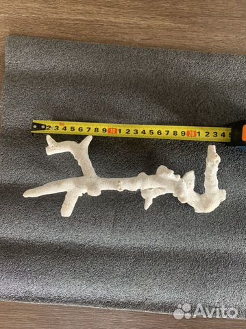 Сухой рифовый камень