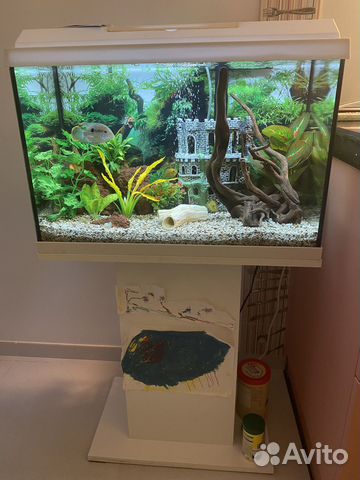 Продам juwel primo LED 70 л