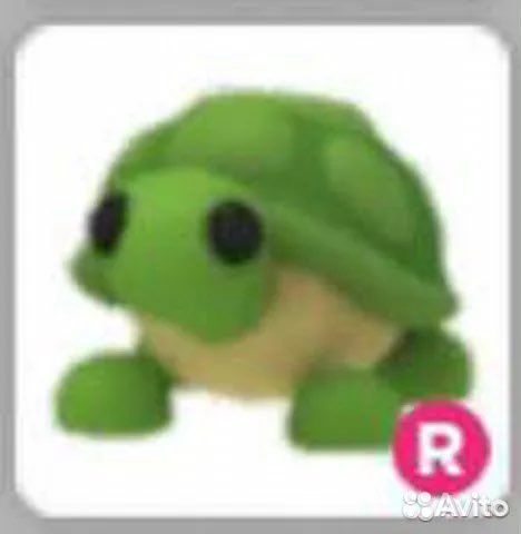 Р черепаха адопт ми
