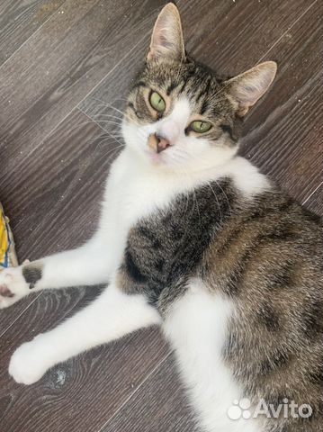 Европейская