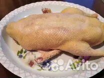 Утка домашняя мясо
