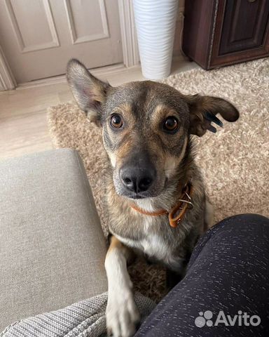 Мальчик ищет дом