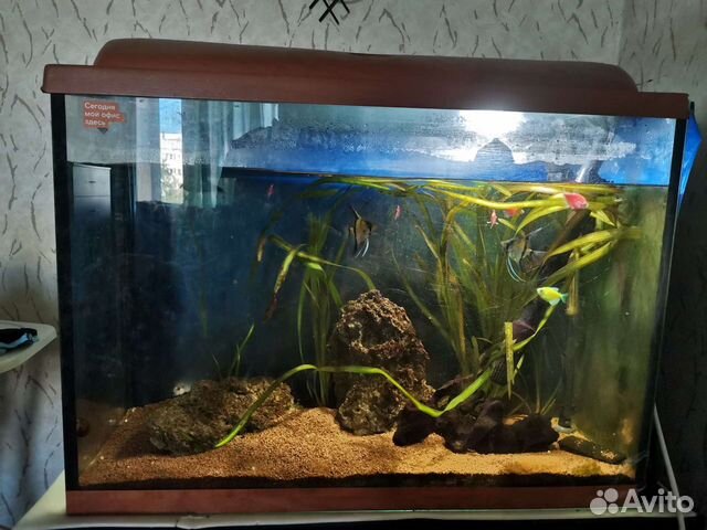 Аквариум