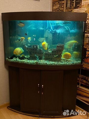 Аквариум 350 литров