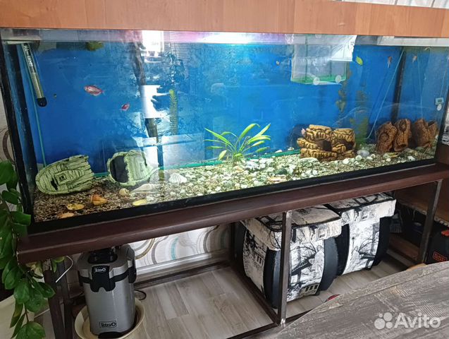 Аквариум