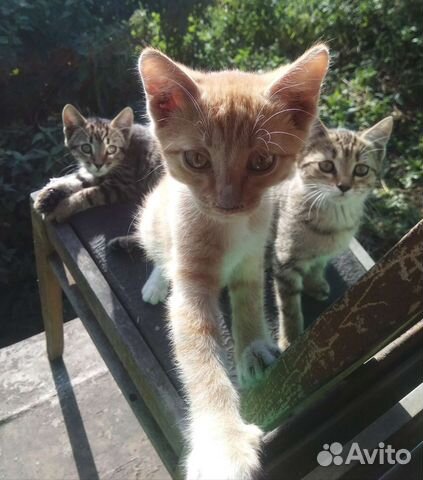 Подарок судьбы