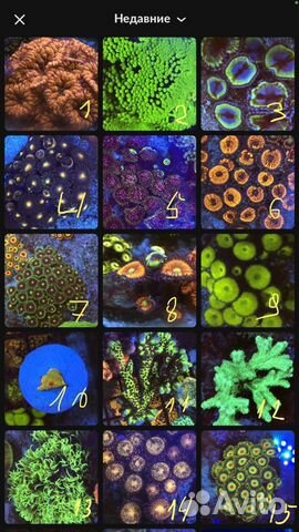 Морской аквариум