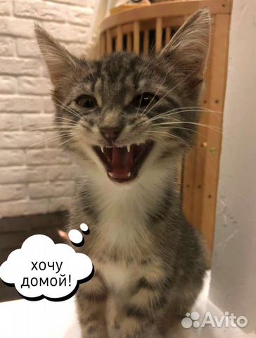 У нас мало времени