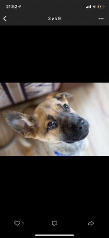 Мальчик Умка 3-4 мес