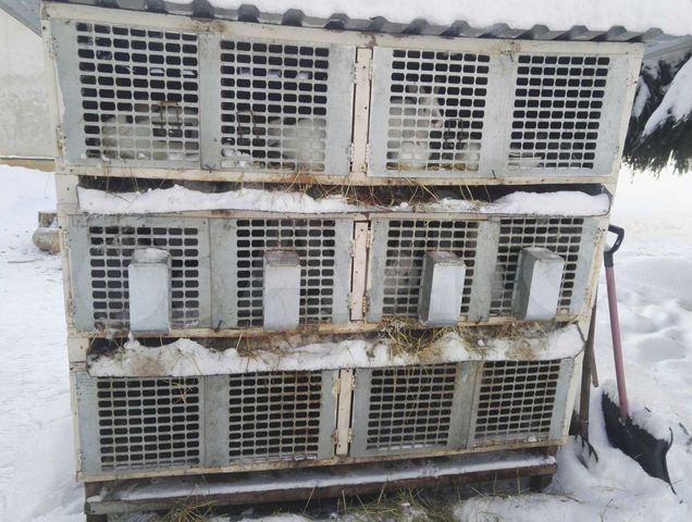 Клетка для кроликов (мини ферма 12 мест)