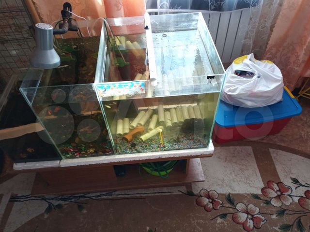 Аквариум 150л